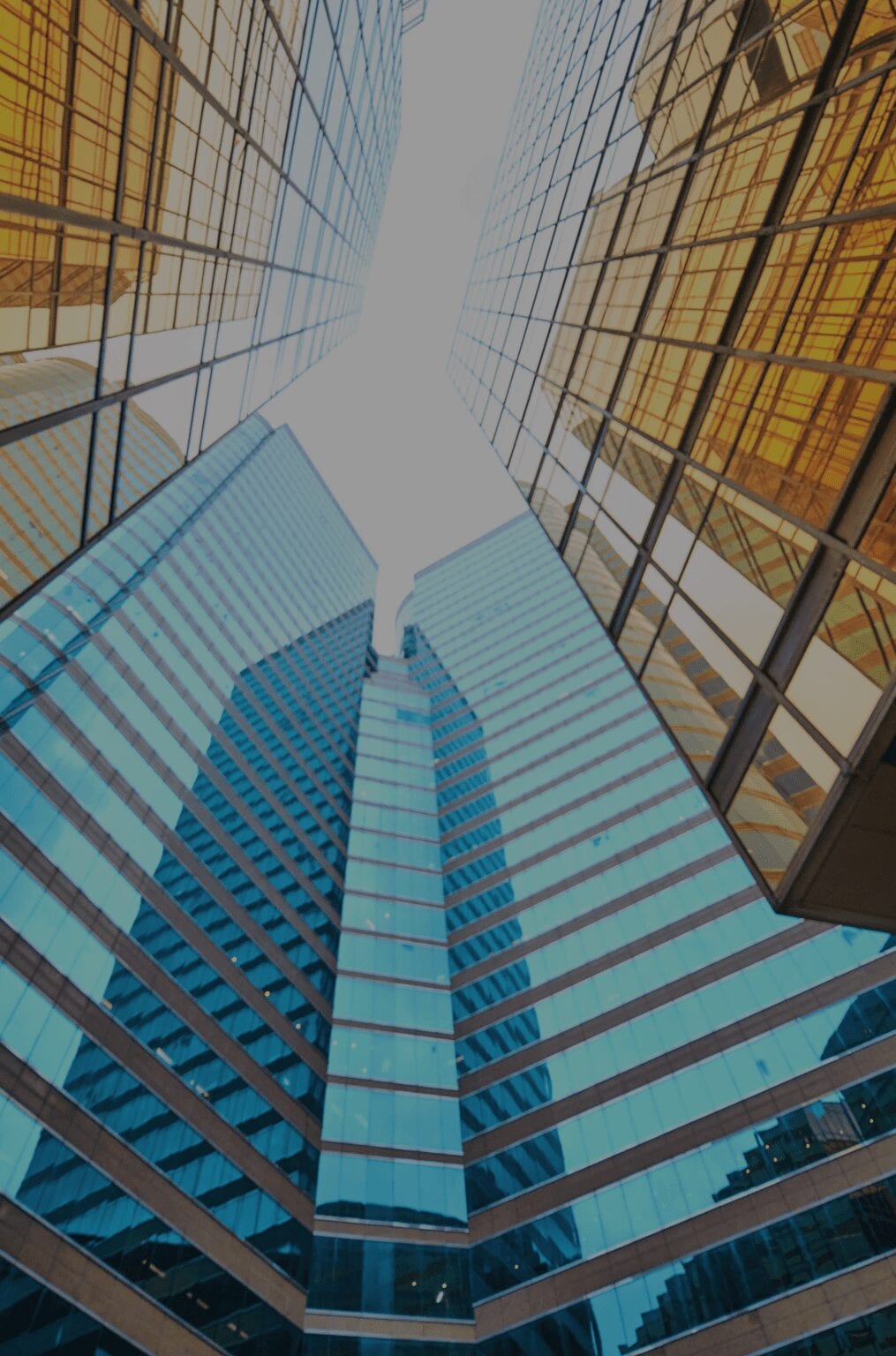 Miembros de la RED | TELERED